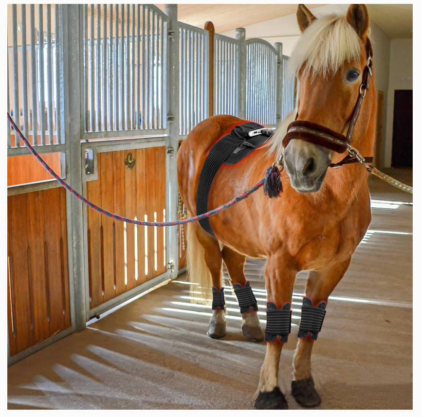 LIGHTFORCE EQUINE RED & NEAR INFRARED LED SMALL PAD – Infrared Lights NZ