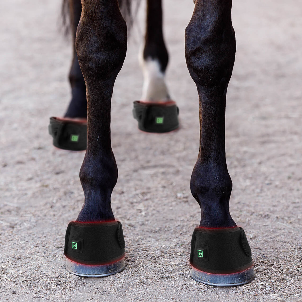 LIGHTFORCE EQUINE WIRELESS BELL BOOT – Infrared Lights NZ