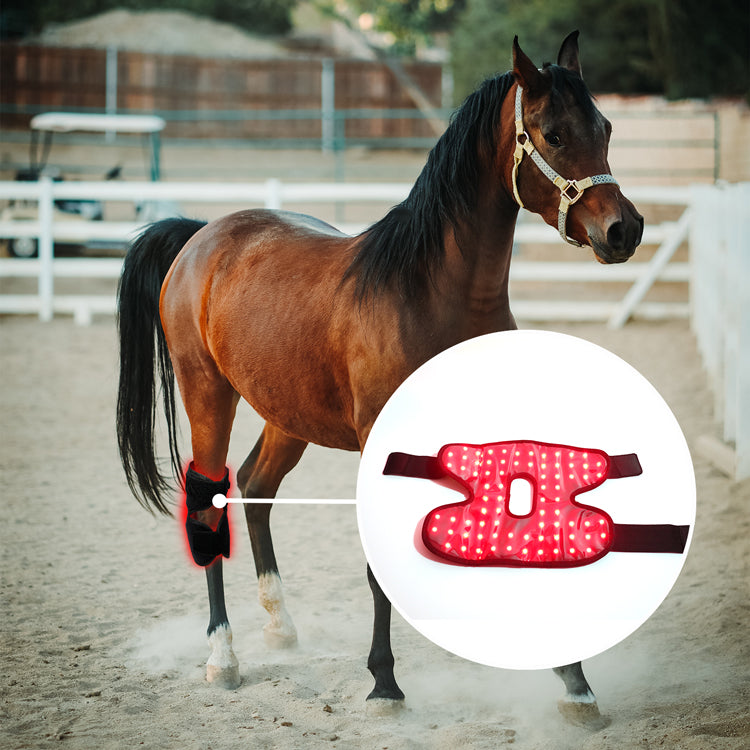 LIGHTFORCE EQUINE RED & NEAR INFRARED LED HOCK WRAP – Infrared Lights NZ
