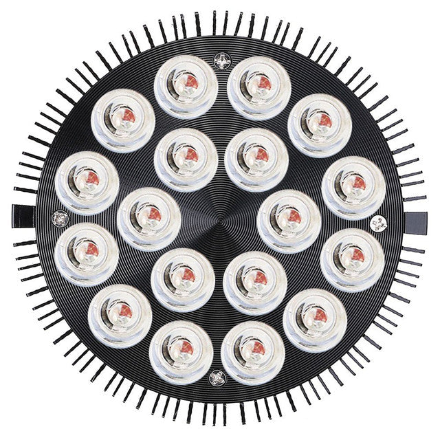 LIGHTFORCE LED BLUE LIGHT THERAPY 54W BULB – Infrared Lights NZ